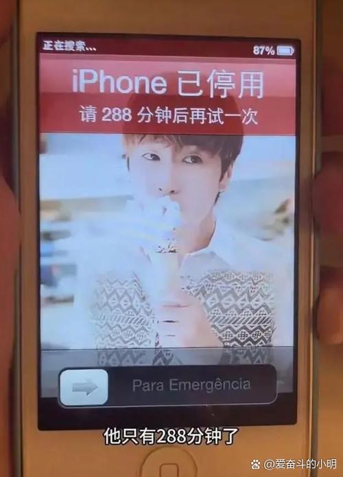 苹果输错几次密码会永久锁图标