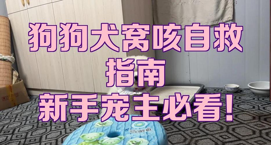 小狗犬窝咳治疗方案图标