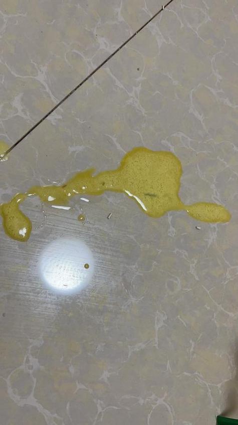 猫咪呕吐黄水图标