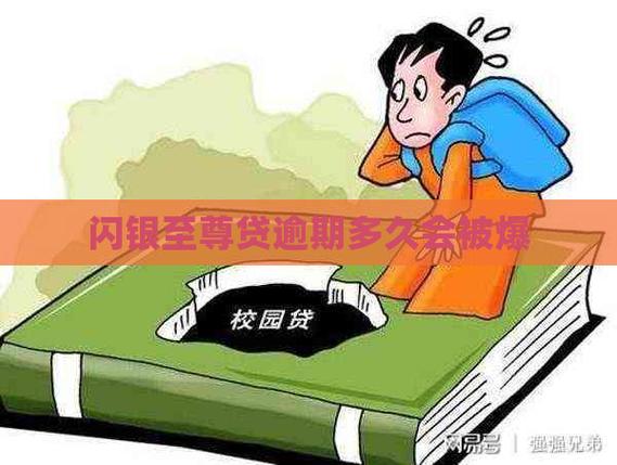 闪银至尊贷贷放款图标