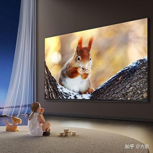 2024年看电视还要钱吗截图