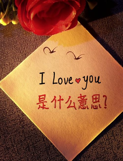 novacane有什么特殊含义爱情图标