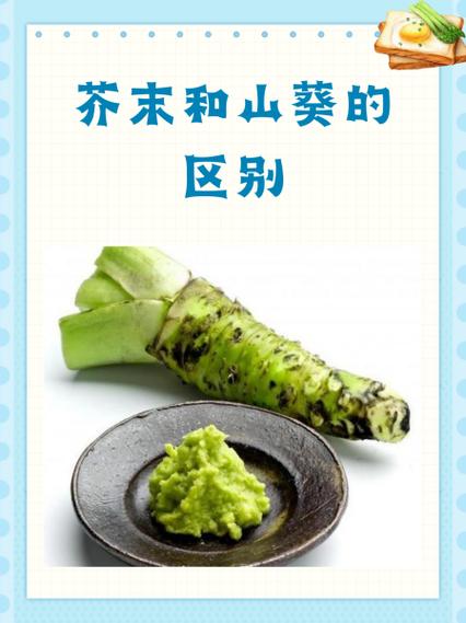 山葵就是芥末吗为什么图标