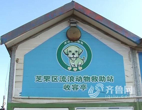 流浪狗救助站图标