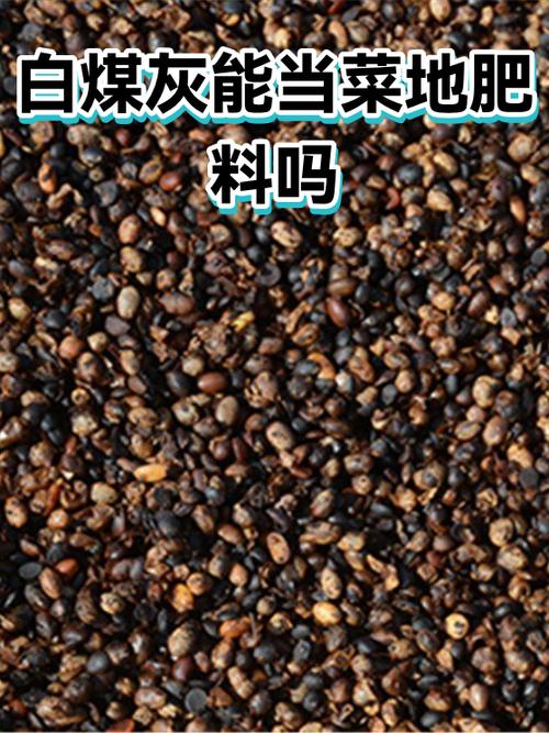 煤灰可以放菜地里吗截图