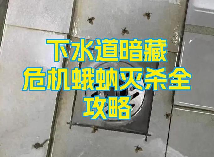 家里卫生间有小飞虫怎么办截图
