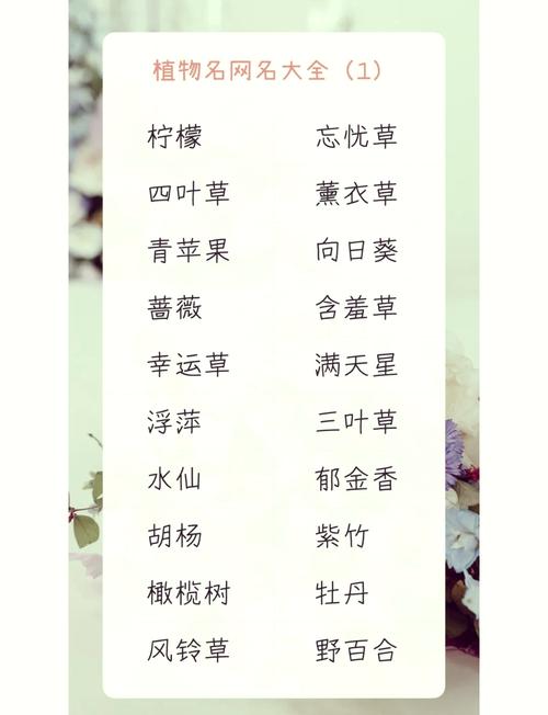 花倚改名叫什么图标
