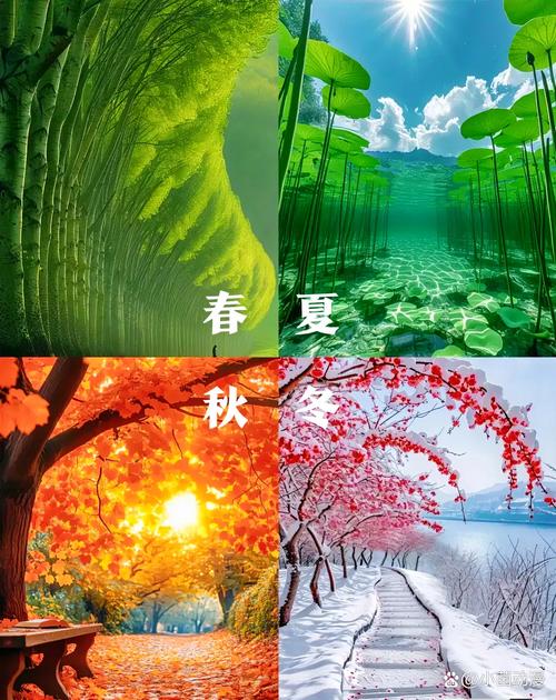你们喜欢什么季节截图