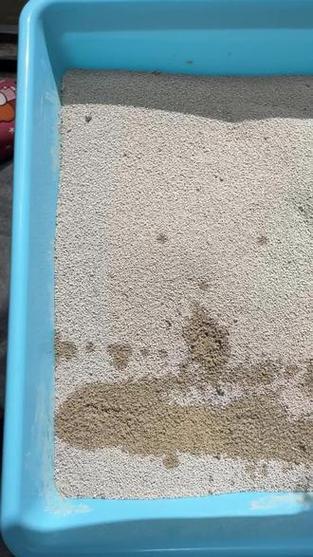 猫砂骚臭一招教你解决图标