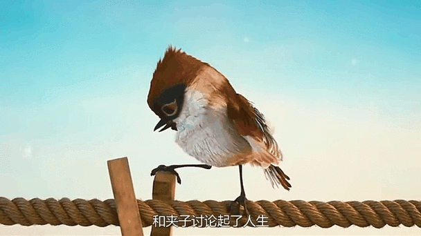绳索人生完整版截图