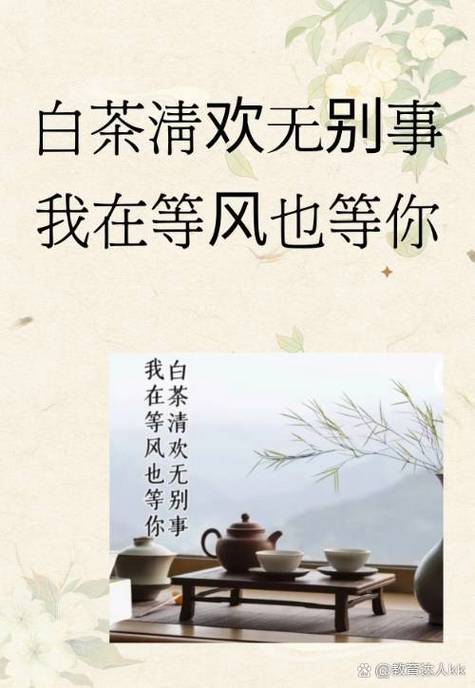 我在等风也等你图标