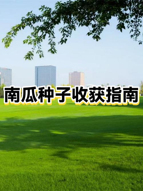 泰拉瑞亚南瓜种子成熟要多久图标