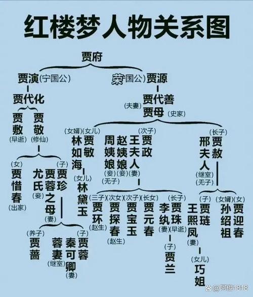 红楼重生之平妻截图