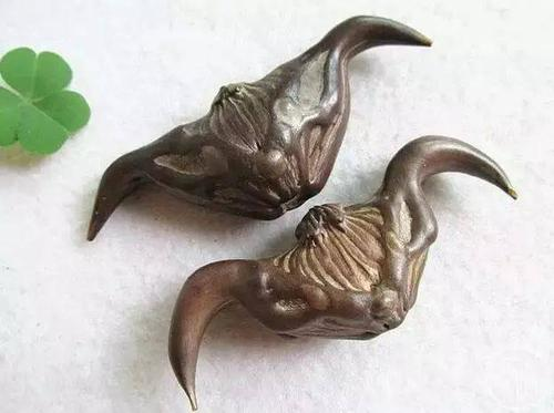 北人食菱文言文翻译图标