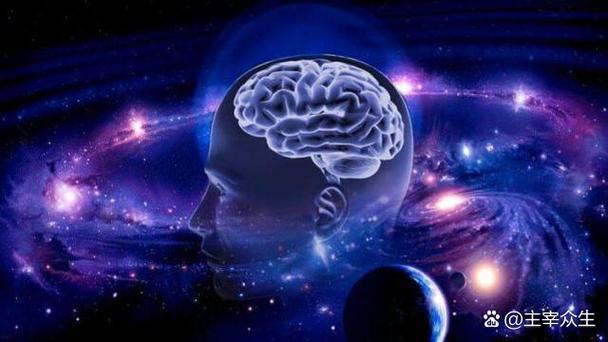 人脑一天消耗多少能量图标