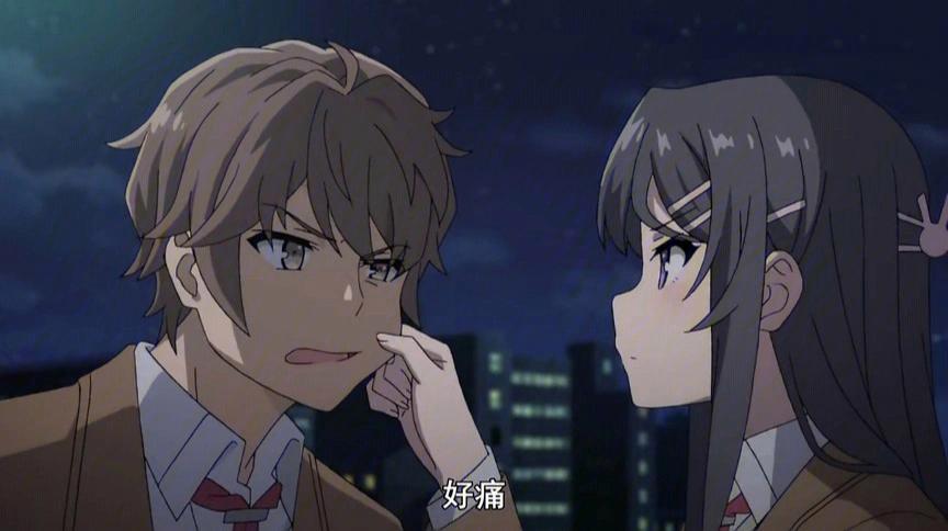 青春猪头少年电影图标