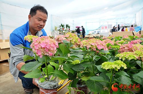 兰州和平鲜花港怎么样图标
