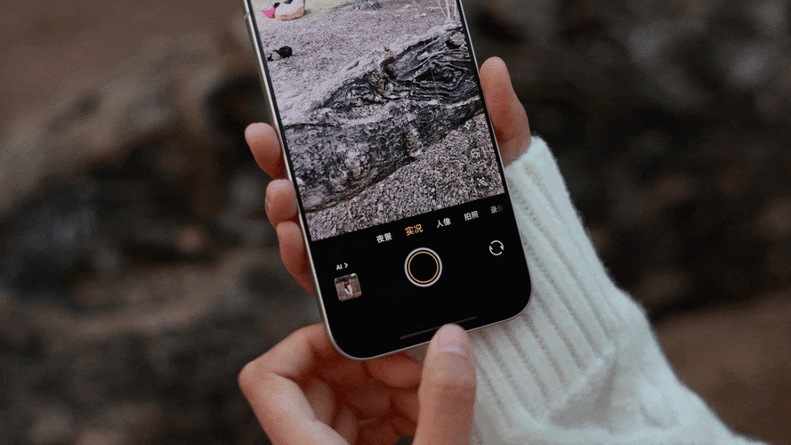 iphone怎么拍实况照片图标