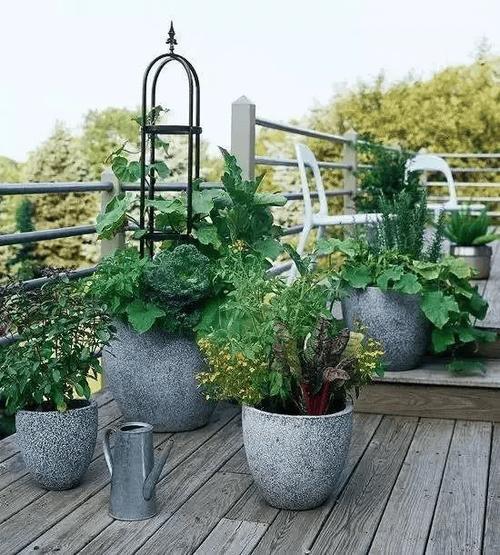 花园种花图标