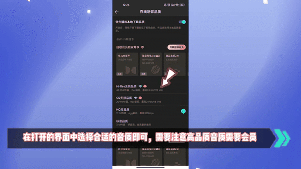 新版qq音乐音质在哪里设置截图