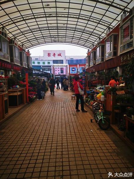 上海有哪些花鸟市场图标