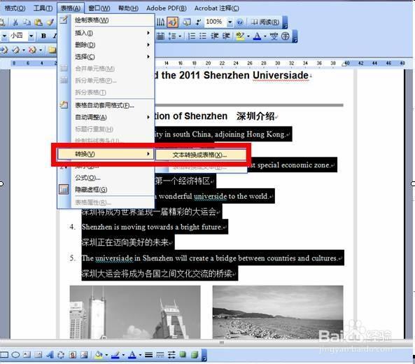 excel表格内容转换成word文档图标