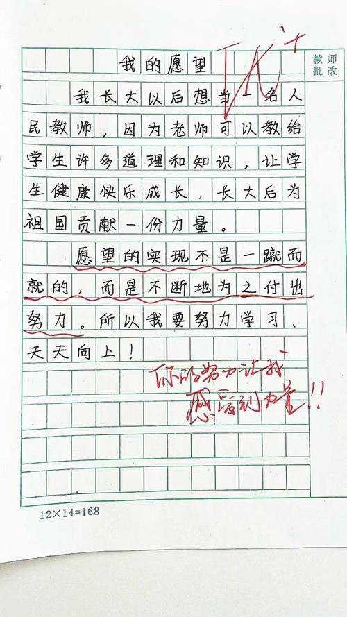 作业小练笔100字
