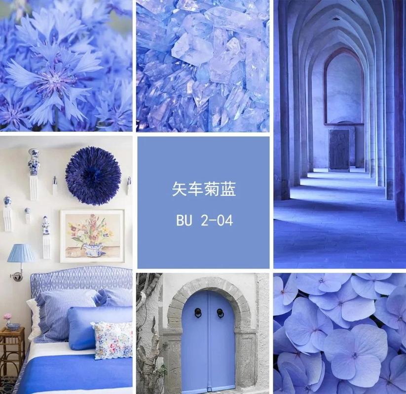 蓝色的各种颜色图标