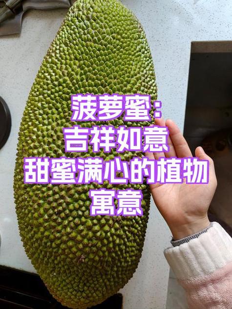 菠萝蜜寓意和象征截图
