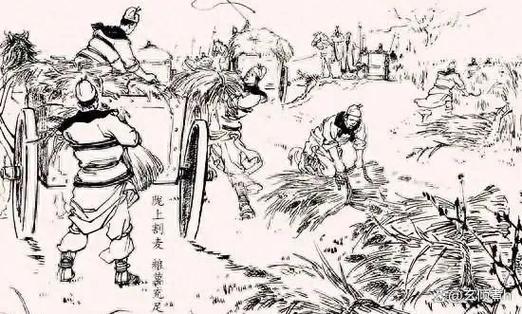 三国打仗割麦子