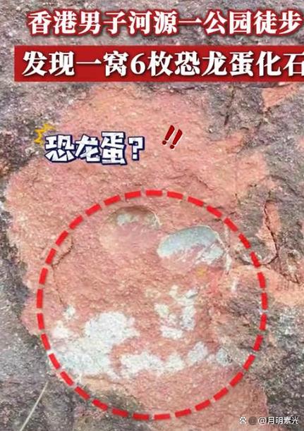恐龙蛋多少钱一枚截图