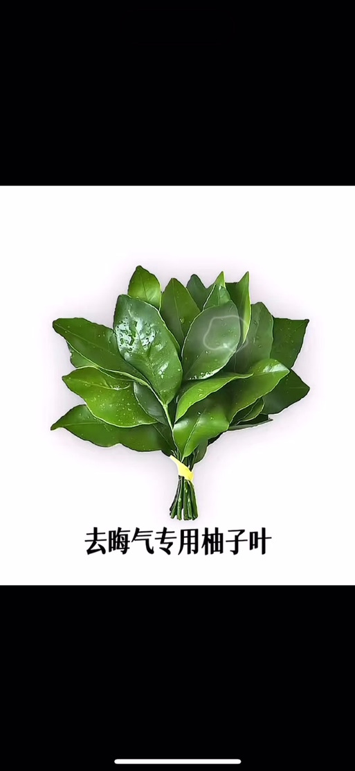 柚子叶转运的方法图标
