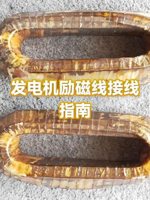 励磁的三个接法视频截图