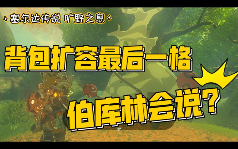 塞尔达背包扩容第二次图标