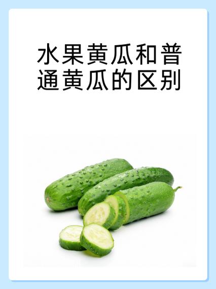 黄瓜和香蕉的区别图标