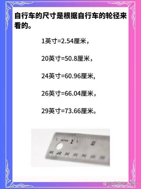 一英寸等于多少公分截图