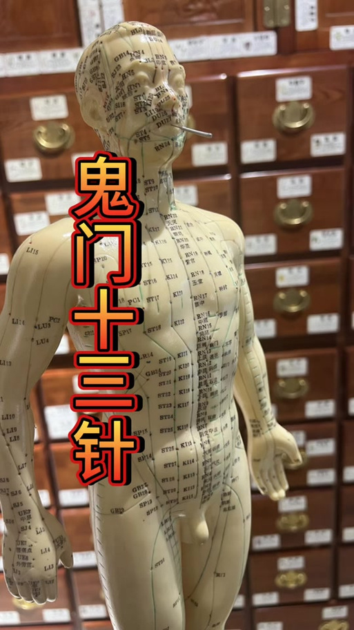 鬼门十三针的功效与作用图标
