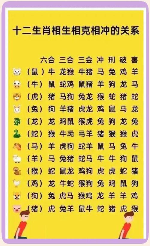 龙和兔相克还是相冲图标