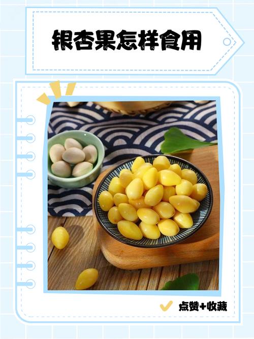 银杏果每天吃多少颗合适截图