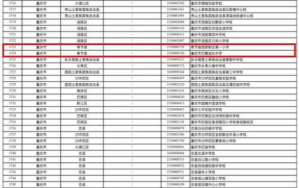 重庆校园足球排名图标