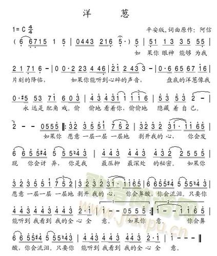 洋葱歌词完整版
