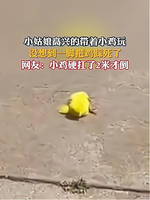 踩着小鸡的脚图标