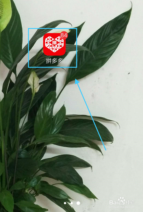 新版拼多多下载图标