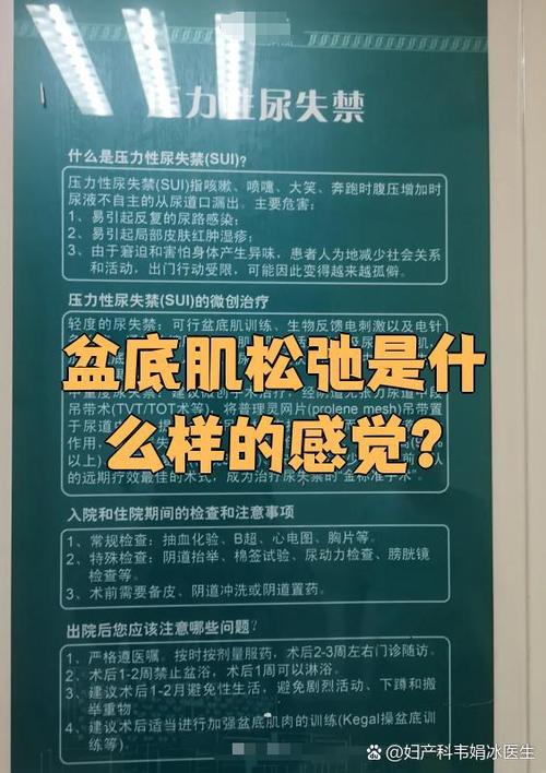 盆底肌松弛的症状图标