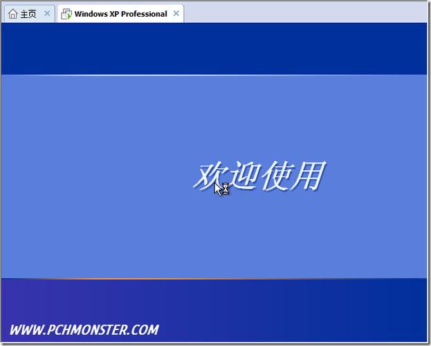 vmware安装xp图标