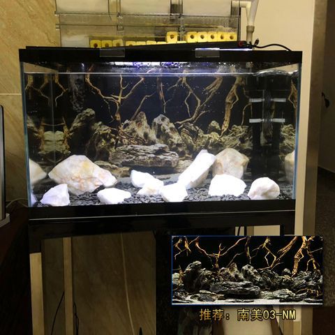 南美水族论坛官网图标