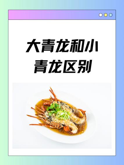 花龙和青龙有什么区别图标