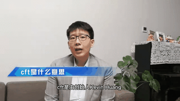 CFT是什么意思截图