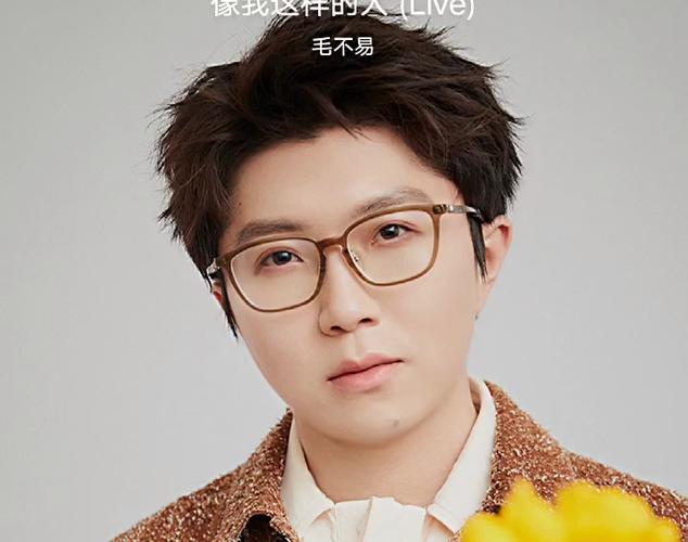 为什么有很多人喜欢毛不易图标