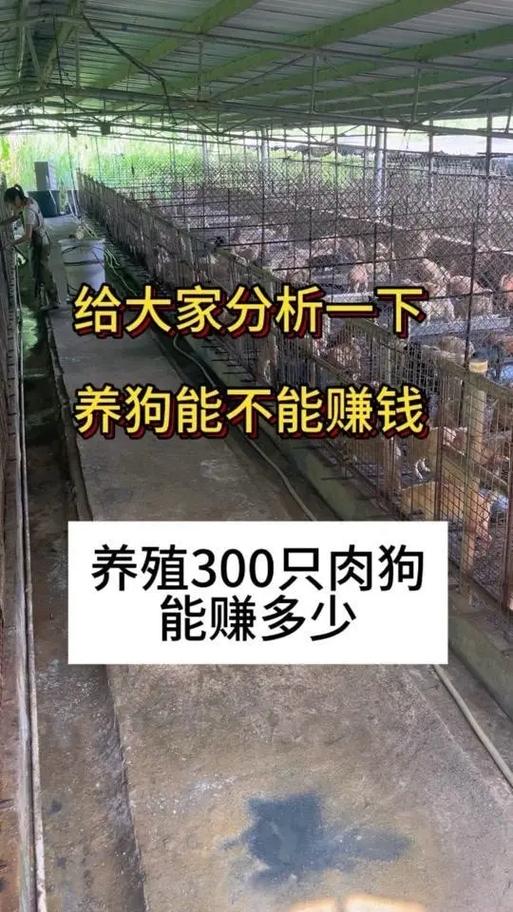 全民养狗赚钱图标